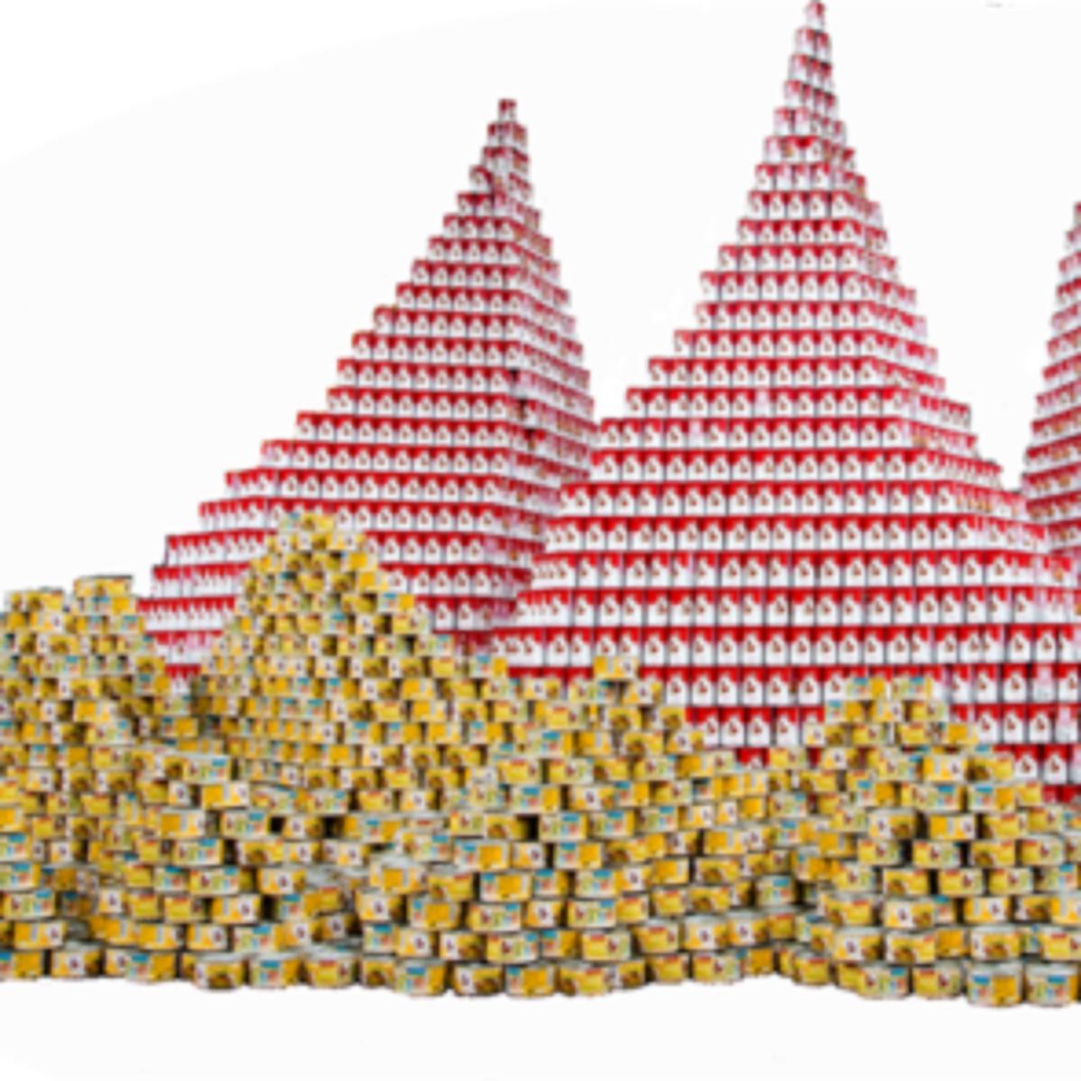 World’s Largest Canned Food Structure · MaisonBisson